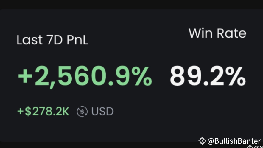 Weekly PNL Report: Achieving a 90% Profit Ratio in Futures Trading: Get ...