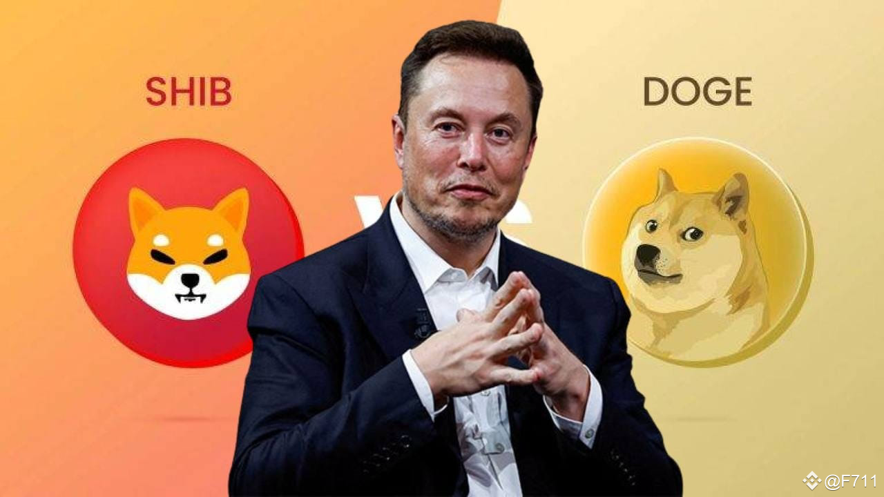 🔴 Elon Musk as Dogecoin CEO Competition heats up! In a mov | fawaz_ea ...