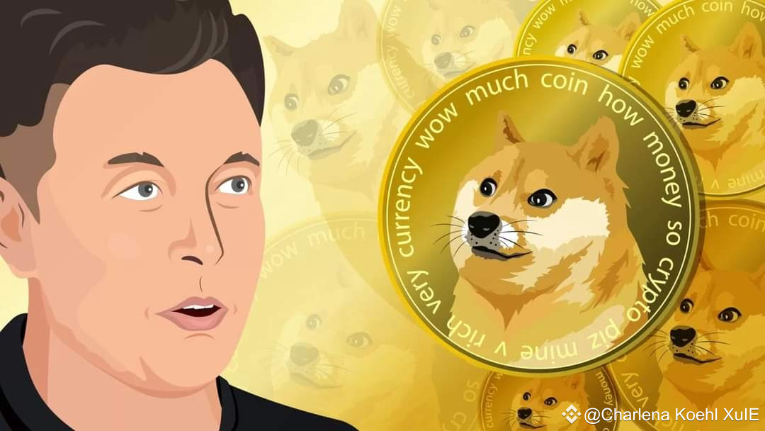 $DOGE $DOGS In 24 hours, the price of the most popular | COINQUANT on ...