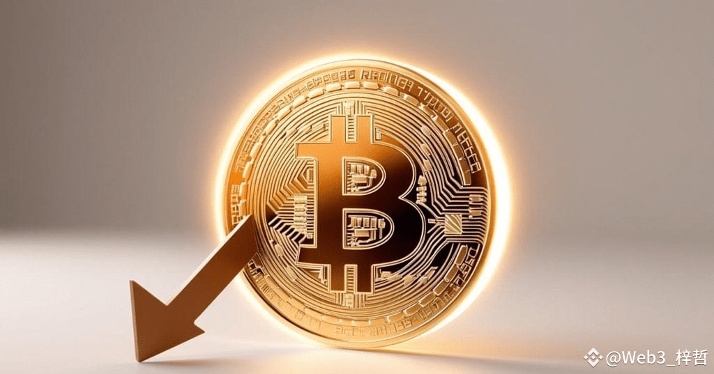 How to survive in the crypto world? How to buy coins and sus | Bit鼠宝 on ...