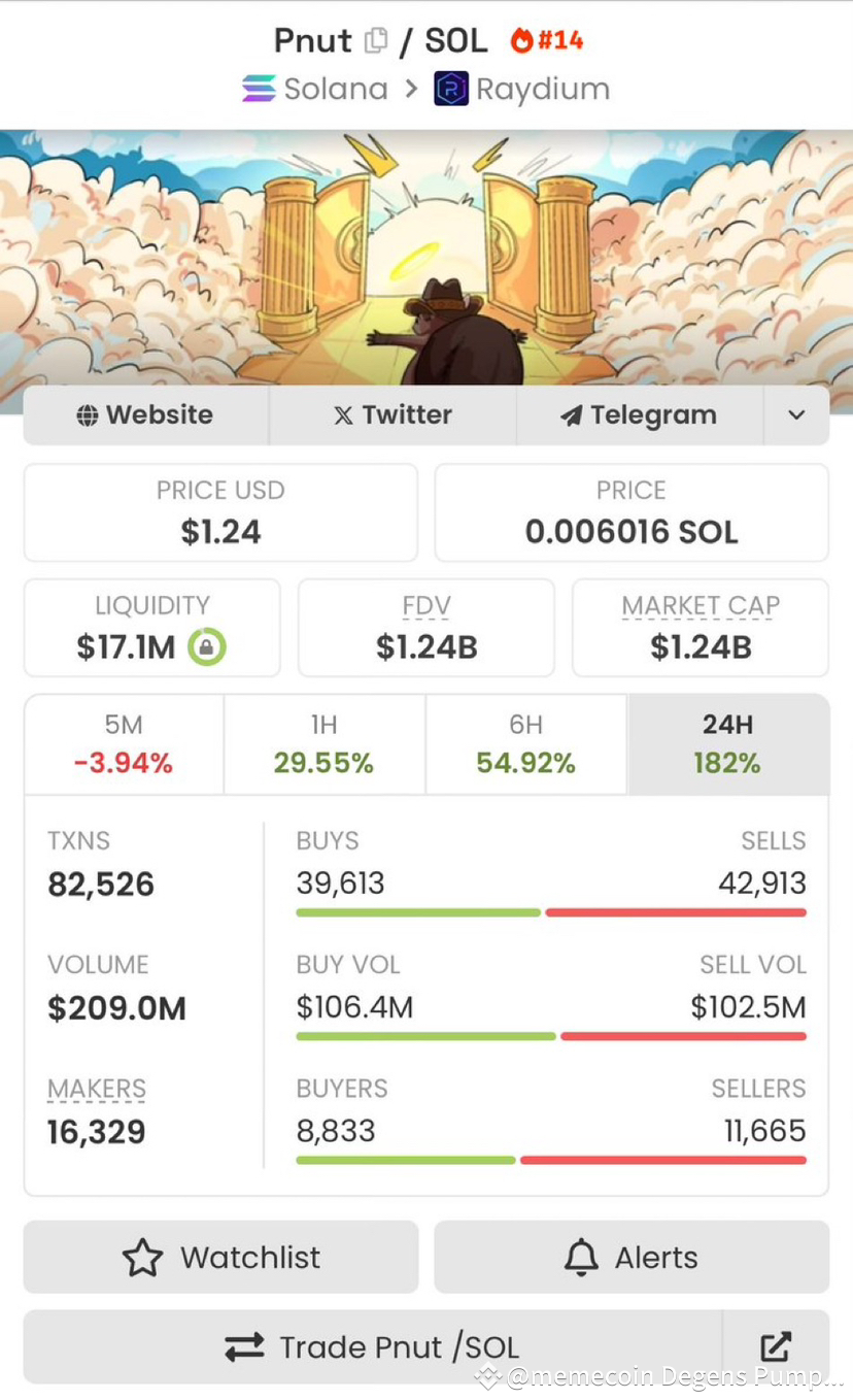 Someone bought $25K worth of $PNUT 12 days ago. Not the bag | memecoin Degens PumpdotFun on ...