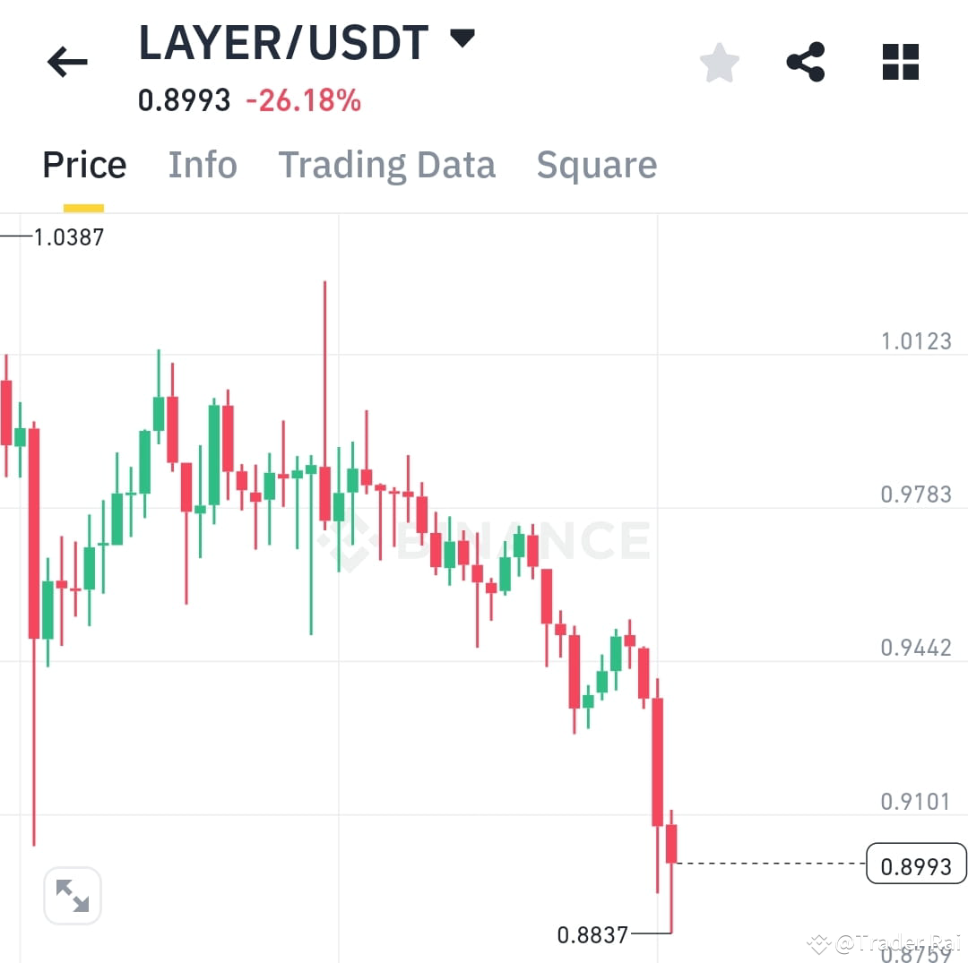 🚨 $LAYER /USDT が急落！ 🚨 🔻 LAYERは-26.18%下落し、現在$0.8993で推移中！ | Trader Rai － Binance Square