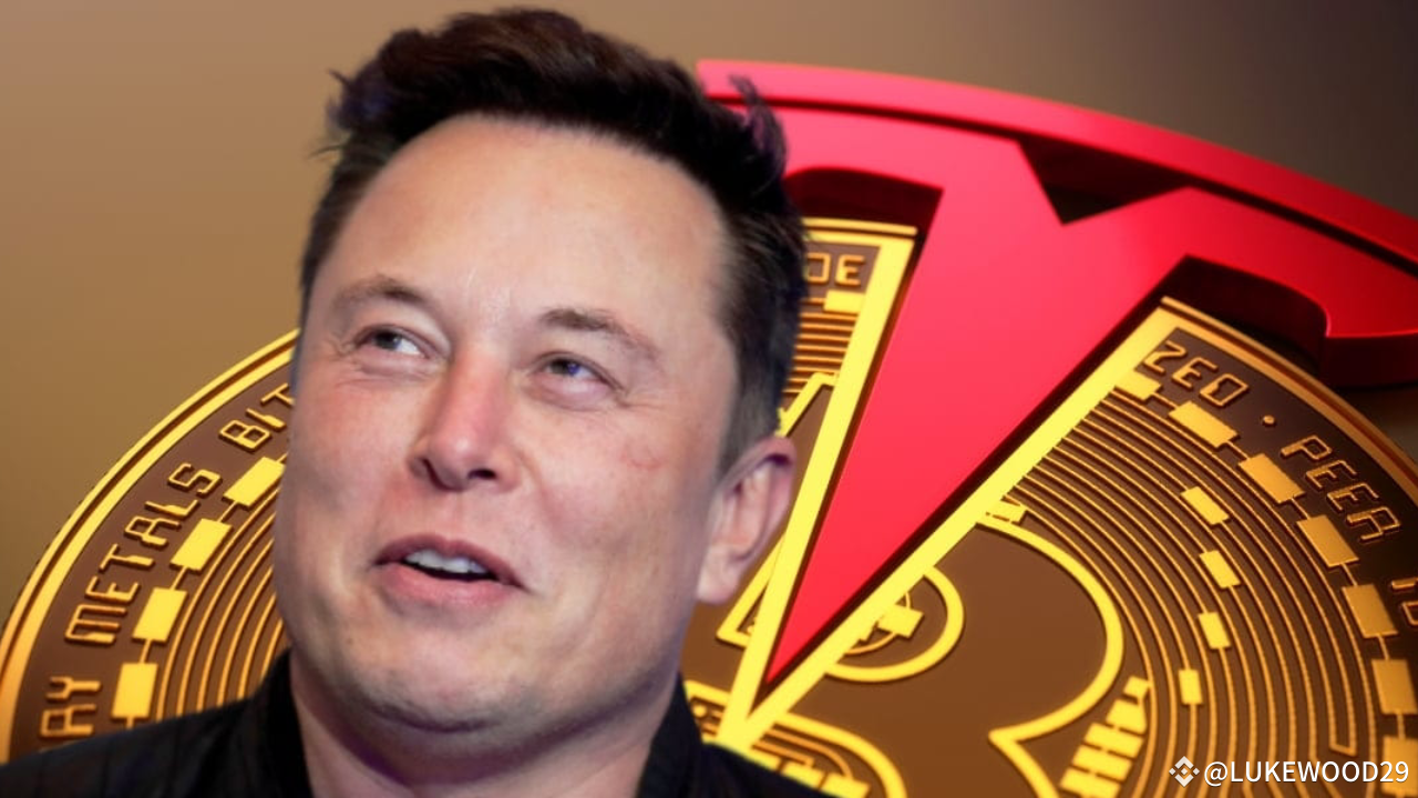 Elon Musk Issues Stark U.S. ‘Bankruptcy’ Warning Amid Bitcoin and ...