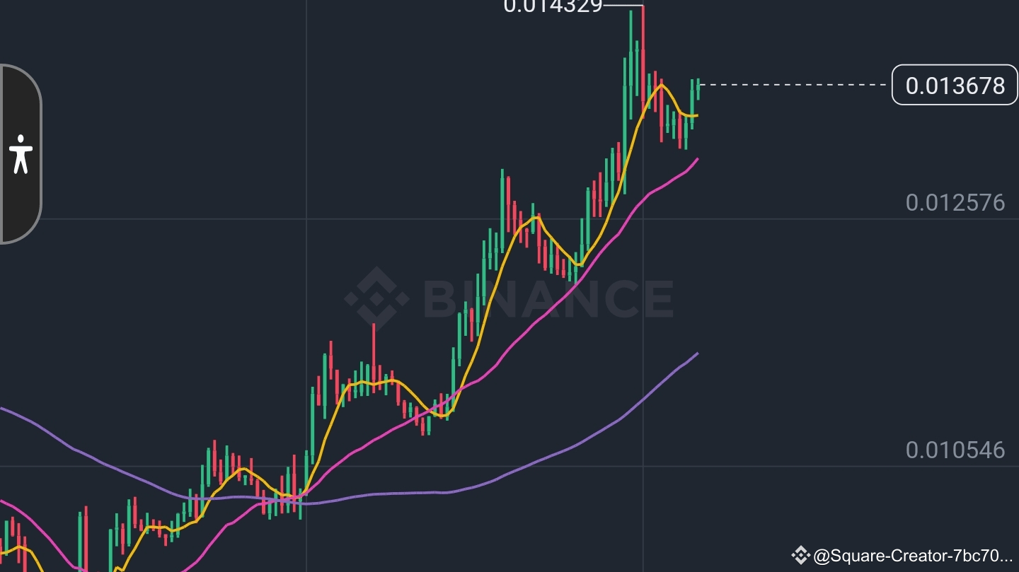 🚨 $TURBO /USDT Up 40% – Next Big Move Coming | عبد الباري أحمد abdu ...