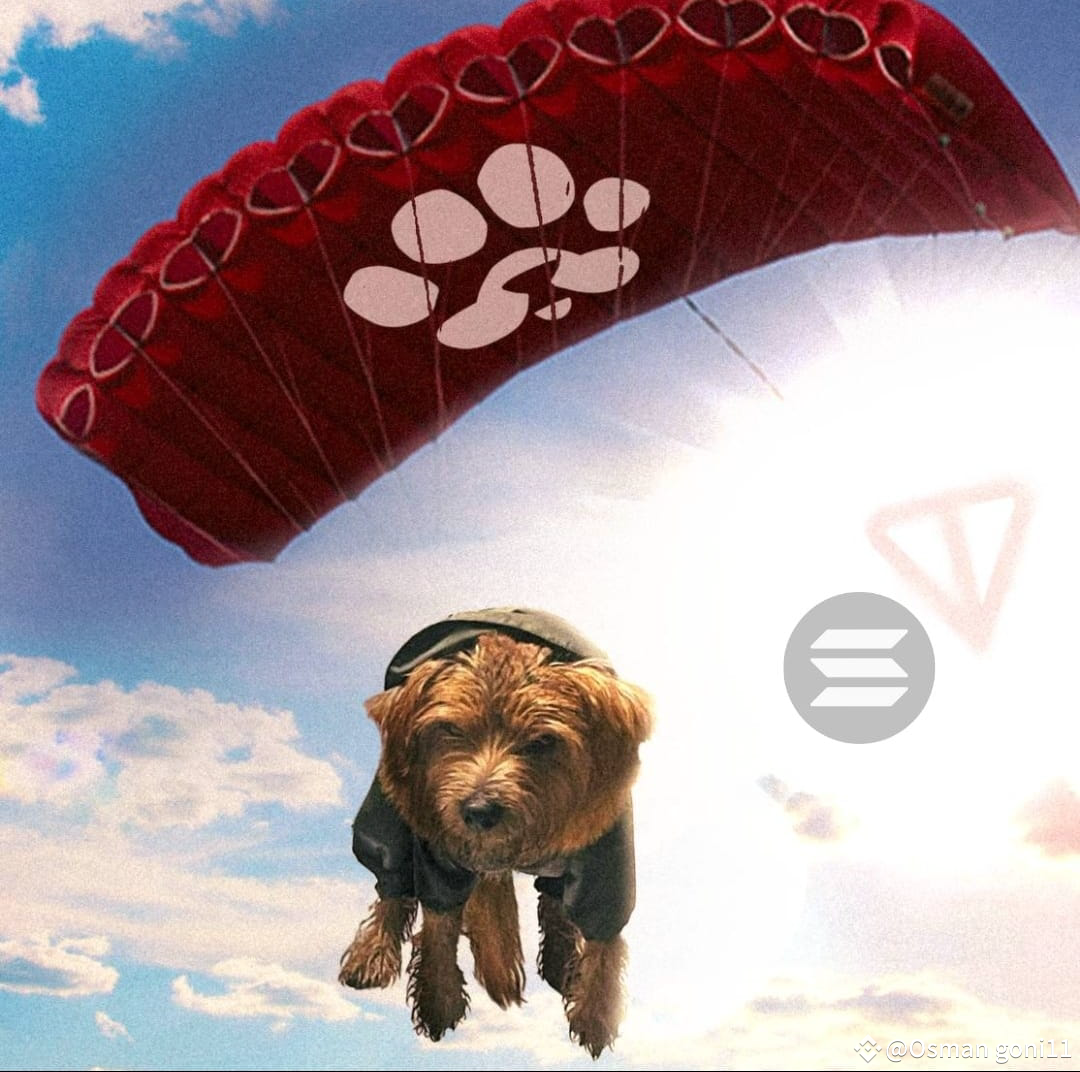 #PAWS airdrop The main criterion is the number of quests c | Md Osman ...