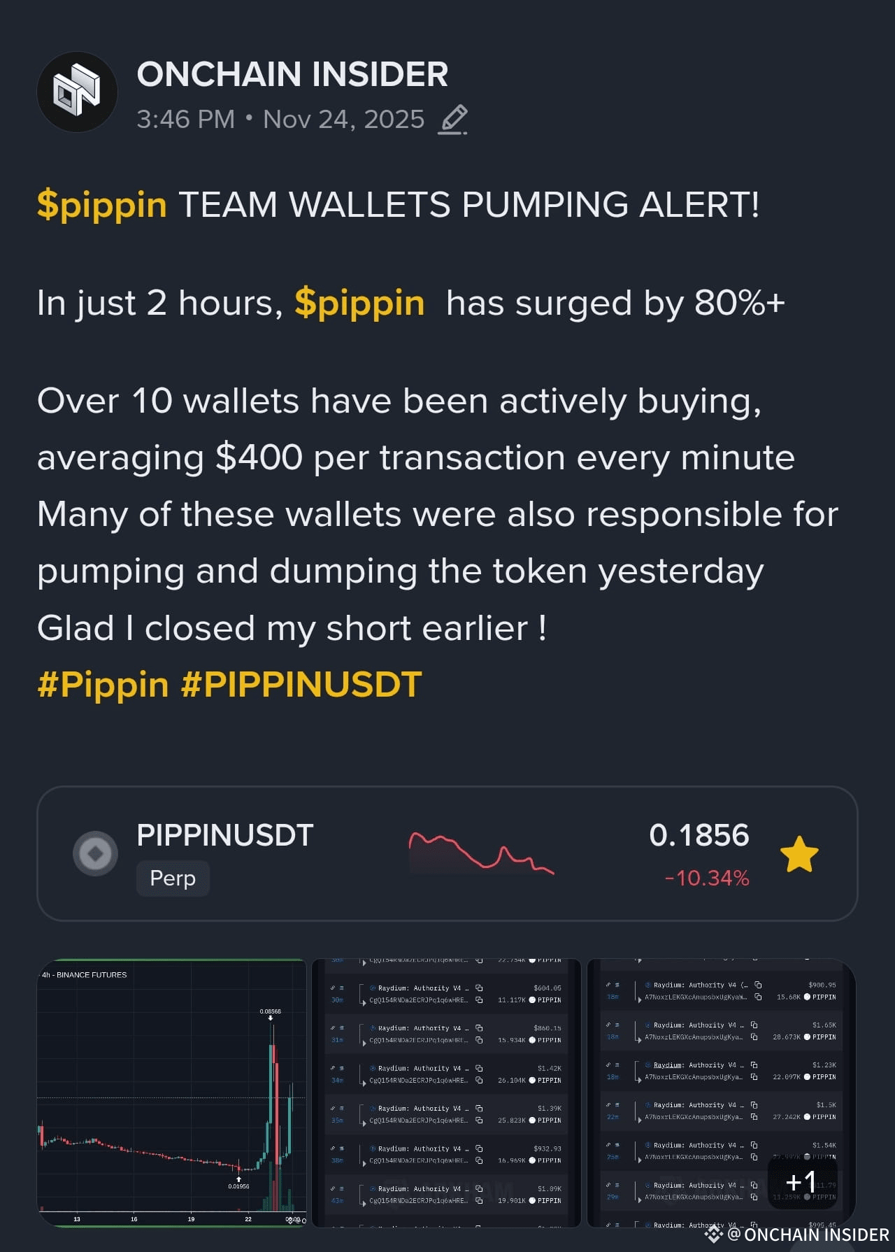 $PIPPIN Short it now after the team pumping second | ONCHAIN INSIDER on ...
