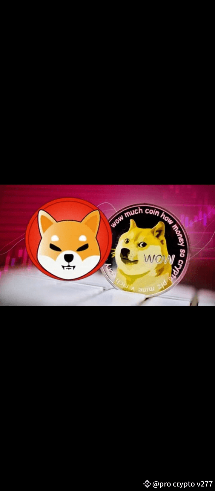 Shiba Inu (SHIB) & Dogecoin (DOGE) Price Prediction For Febr | Hassan v277 on Binance Square