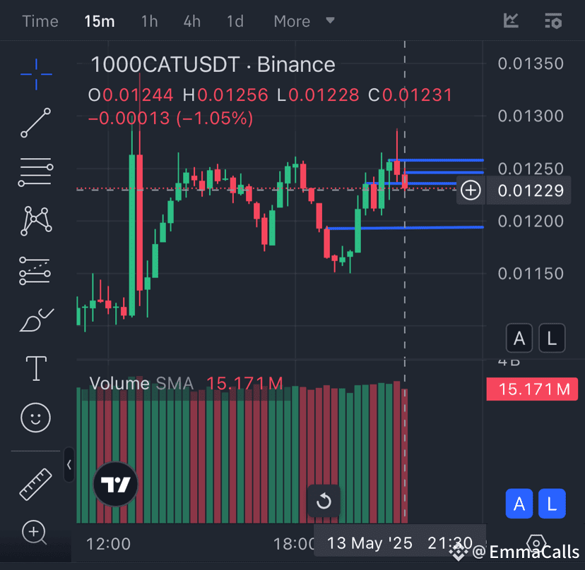 $1000CAT BACK ON THE PROWL – NEXT PAWS UP TARGETS: $0.01260 | EmmaCalls on Binance Square