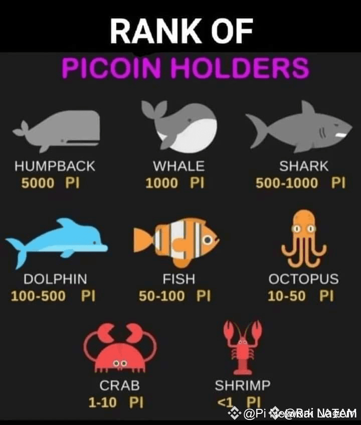 Pi Network Wealth Distribution – Are You in the Top 20%? If | Rai ...