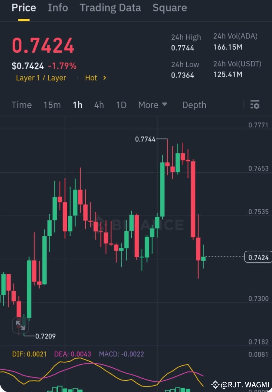 $ADA Rebound Play – Are You Ready? ADA’s pullback looks t | RJT_WAGMI on Binance Square