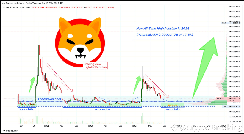 Shiba Inu Skyrocketing Potential: Could SHIB Surge 500%? | Crypto ...