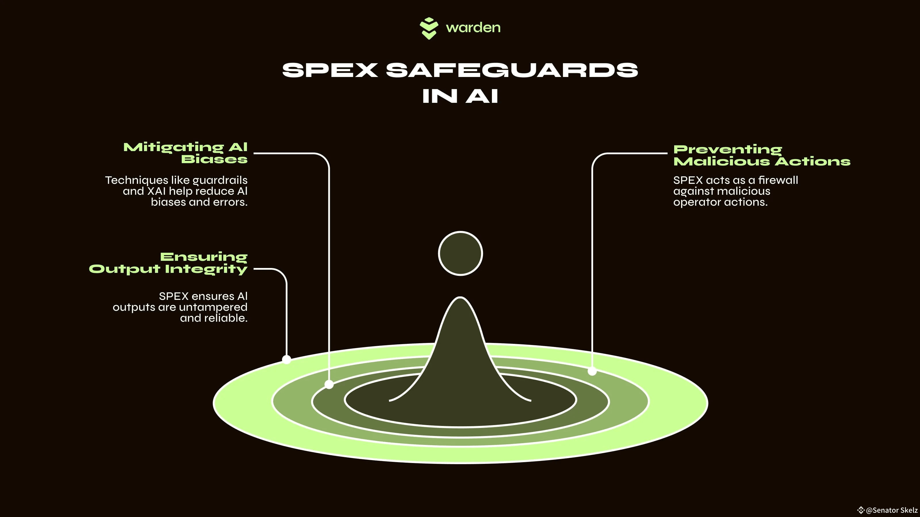 SPEX (Statistical Proof of Execution) - a verifiability laye | Senator ...