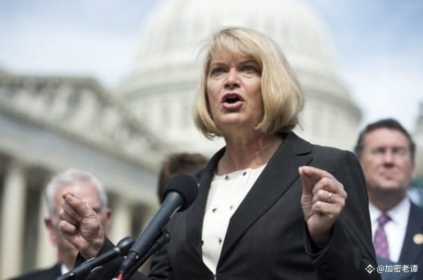 Senator Cynthia Loomis recently proposed a bold plan, hoping | Web3方先生 ...