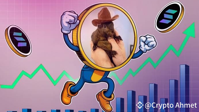 😱🐿️Solana meme coin $PNUT soars to $1 billion market cap after Binance listing🔥🚀 | Crypto Ahmet ...