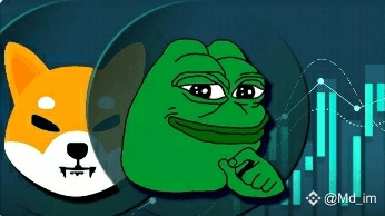 I asked the AI to predict which meme coin would win: $PEPE or $SHIB? | Mohammed Ib on Binance Square