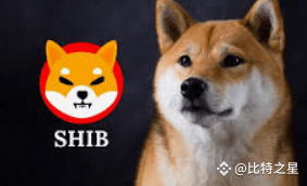 🔥 Ethereum millionaire predicts SHIB could surge 40,000%! W | 比特之星 on Binance Square