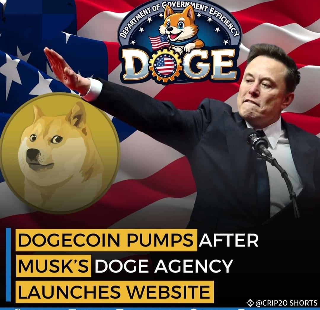 #MuskDogeBullish DOGECOIN PUMPS AFTER MUSK'S DOGE AGENCY LAU | JITENDRA NAGAR on Binance Square