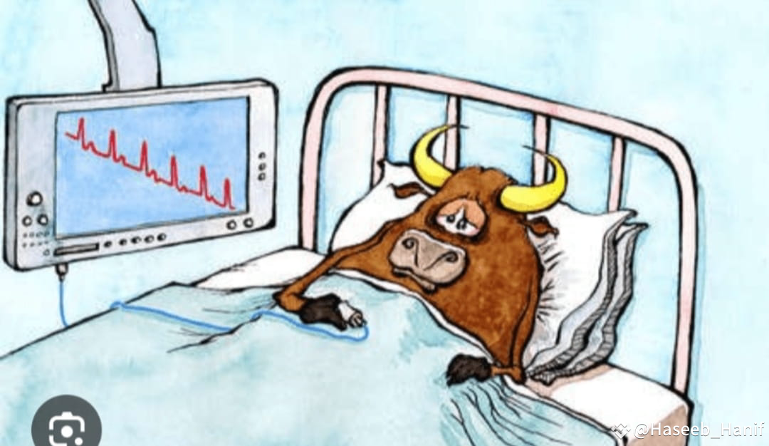 #MarketPullback #Write2Earn #BullSleeping Where is bull... | Haseeb ...