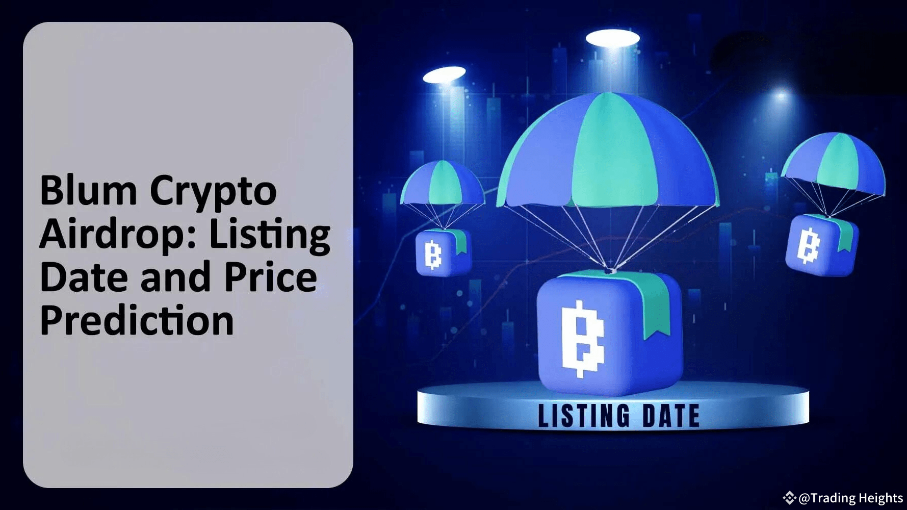 Blum Coin Airdrop Insights: Listing Date and What the Price Could Be ...