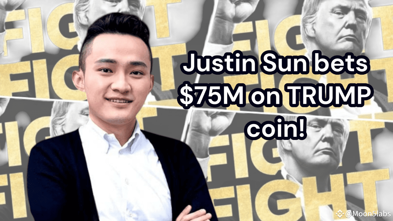 Why Did Justin Sun Invest $75 Million in TRUMP Meme Coin? | Moon5labs ...
