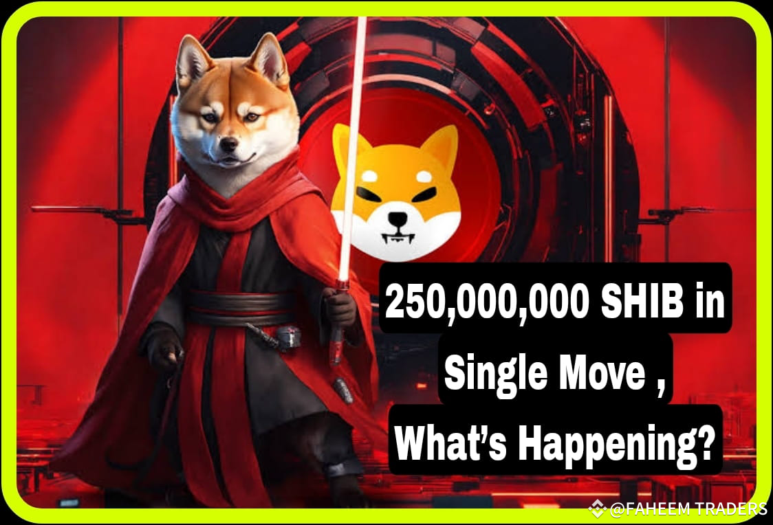 $SHIB 🔥🔥 250,000,000 SHIB Burned in One Transaction — Wh | FAHEEM TRADERS on Binance Square