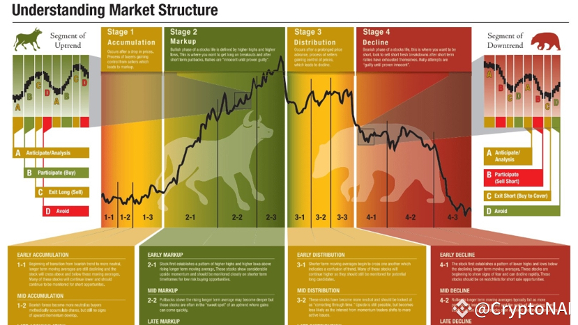 Principales Altcoins con Alto Potencial de Crecimiento para 2024-2025 | mAix8 en Binance Square