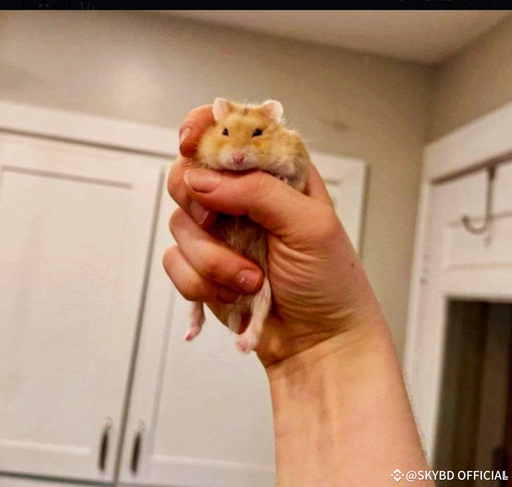 If the price isn't good Things to do: *Unsubscribe from al | SKYBD ...