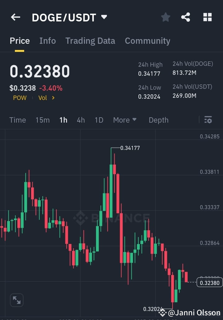 $DOGE /USDT – Dogecoin Faces Pullback, But Will It Bark Ba | Janni Olsson on Binance Square