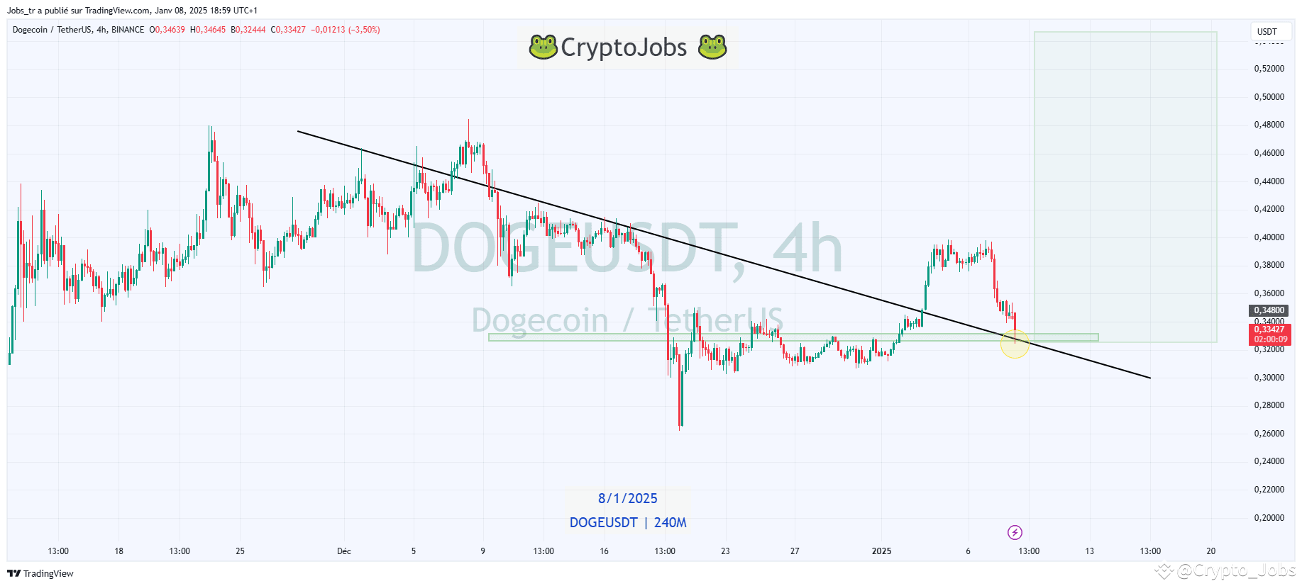 $DOGE What if we panic now? 👀 #doge⚡ | Crypto_Jobs on Binance Square
