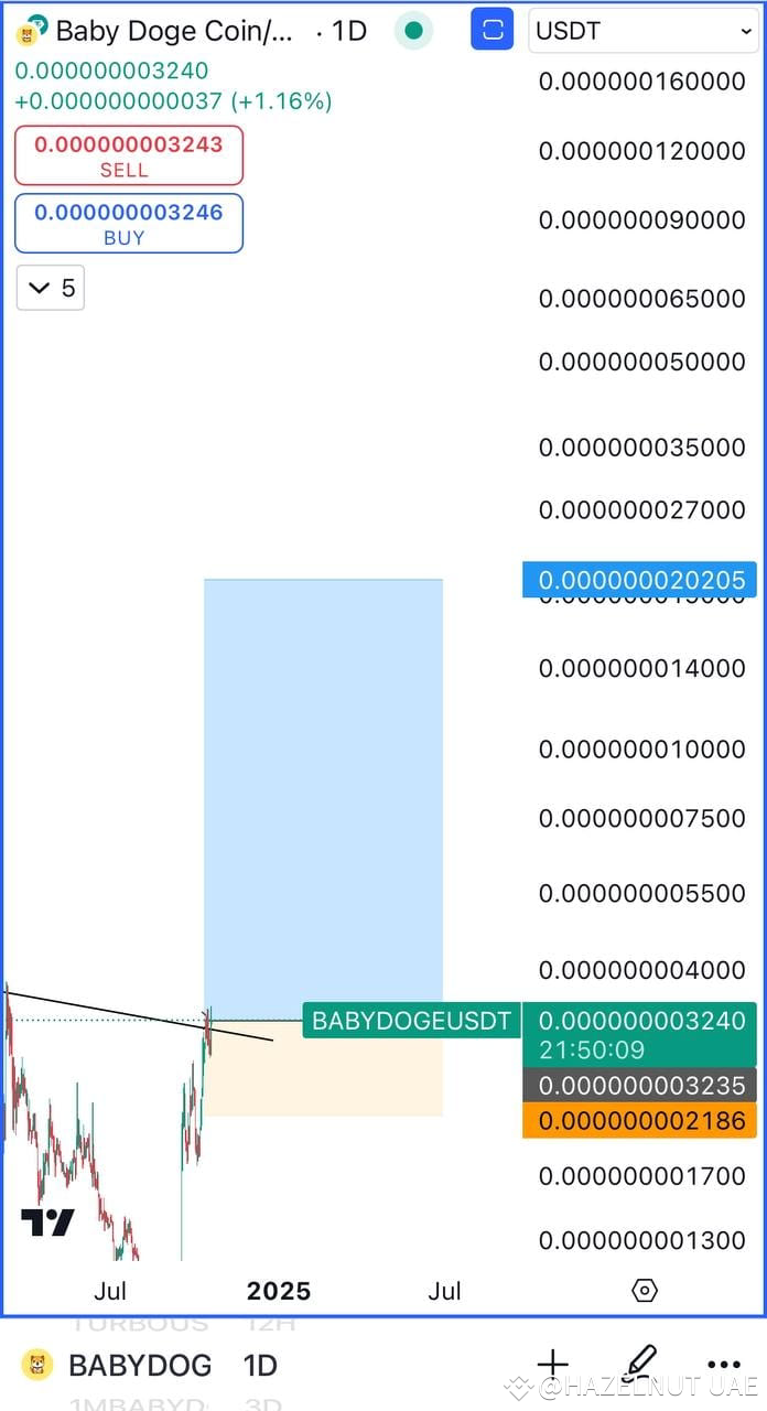 #1MBABYDOGE BUY SETUP | HAZELNUT UAE on Binance Square