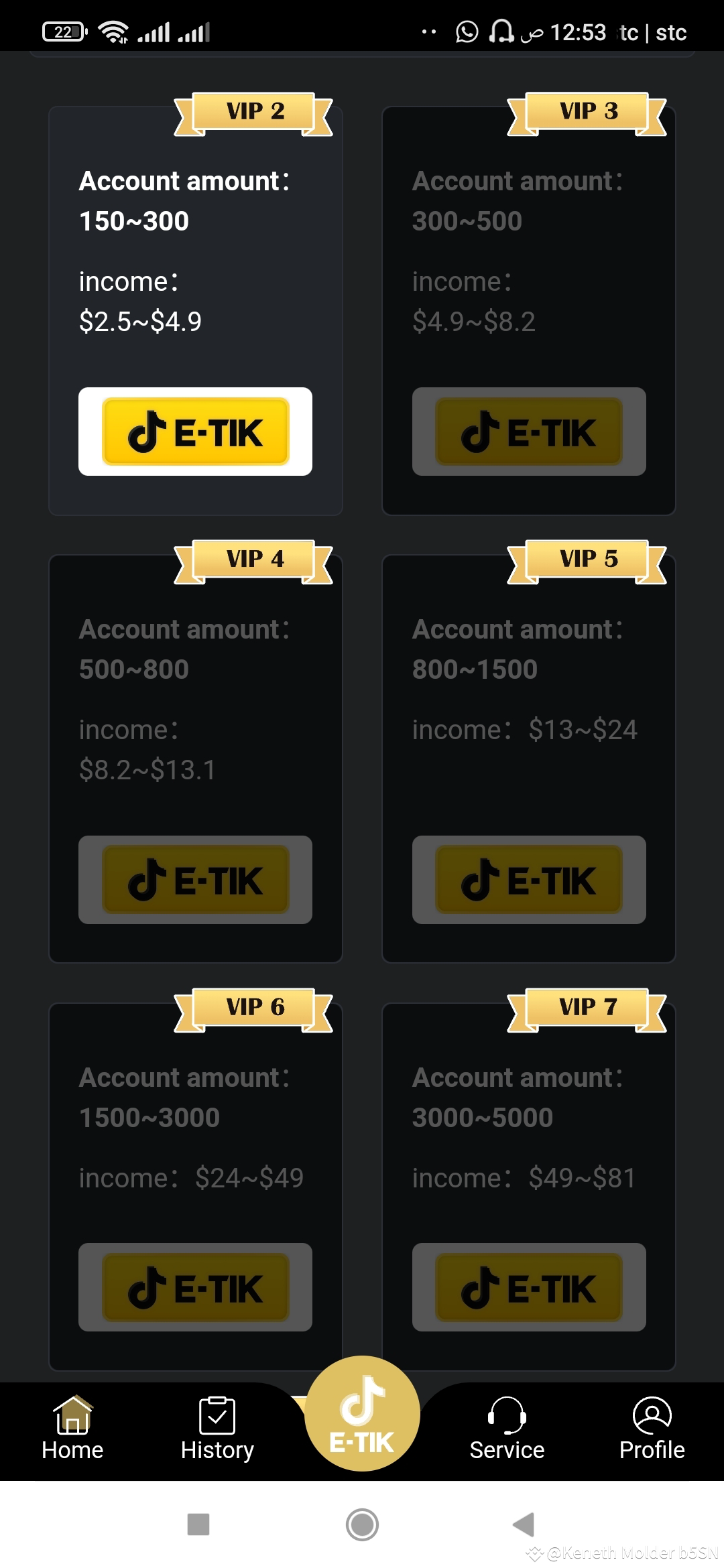 This is a daily profit platform from vip1 to vip10 | Keneth Molder b5SN ...