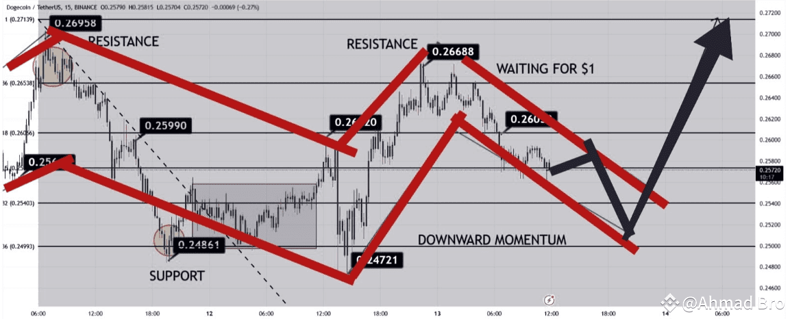 #DOGE : Smart Hold or Risky Bet? 🚀📉 Dogecoin is currently | Ashh Queen ...