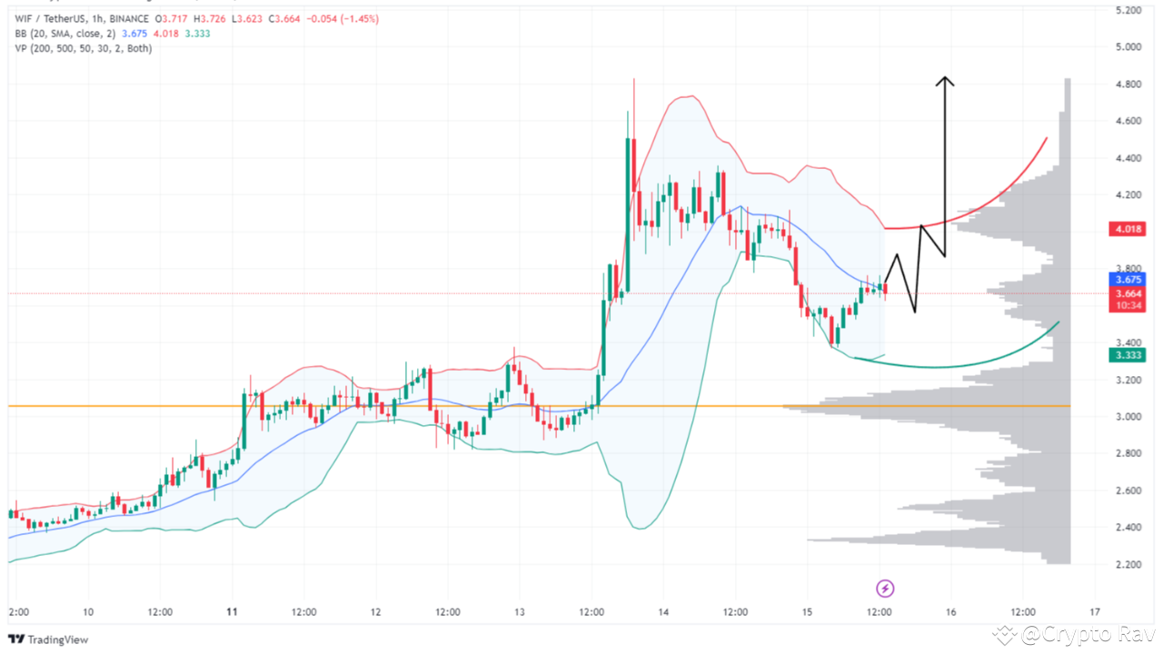 WIF NEXT 35% PUMP ALERT | Cryptorav5 on Binance Square