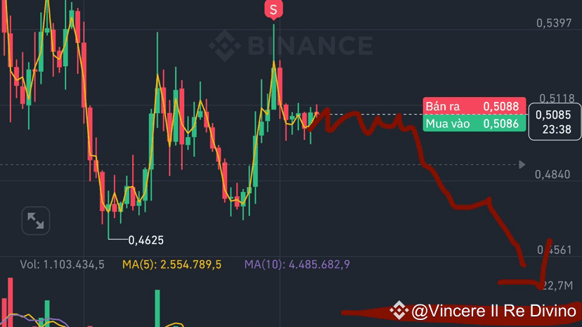 Analysis of SHELL Coin: Signs of Weakness and New Bottom Likely ...