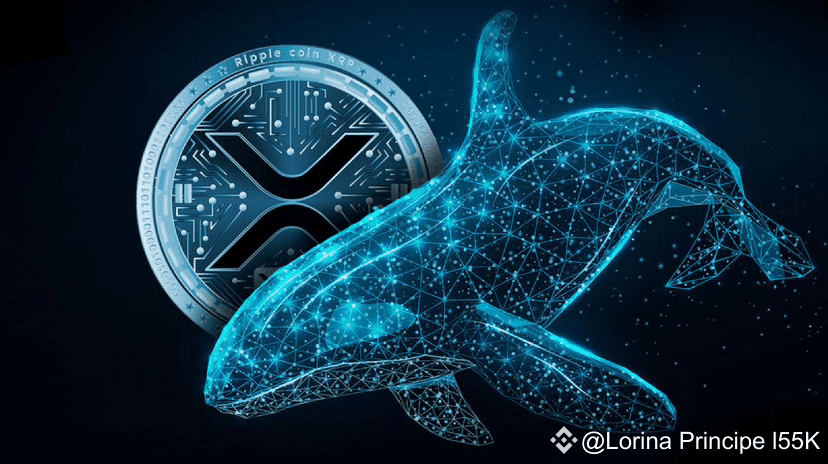 XRP whales are buying ExoraPad ($EXP): a new era for XRP Ledger is beginning? | Lorina Principe ...