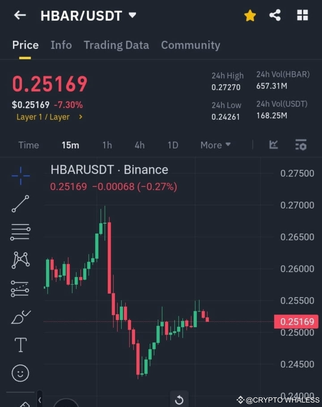 $HBAR /USDT Short Trade Setup 🔻 Current Price: $0.25169 🔹 | CRYPTO WHALESS on Binance Square