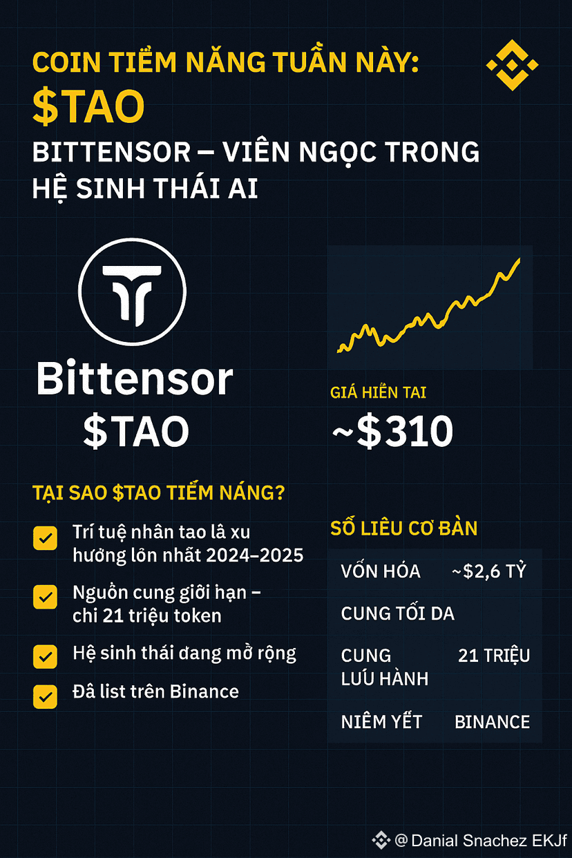 Coin tiềm năng tuần này: $TAO (Bittensor) – Viên ngọc trong | WUYCAN trên Binance Square