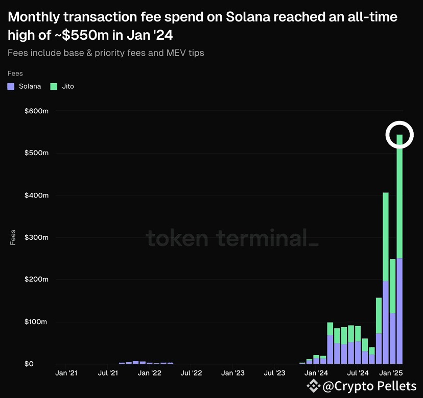 $SOL Monthly transaction fee spend on Solana reached an al | Crypto Pellets on Binance Square