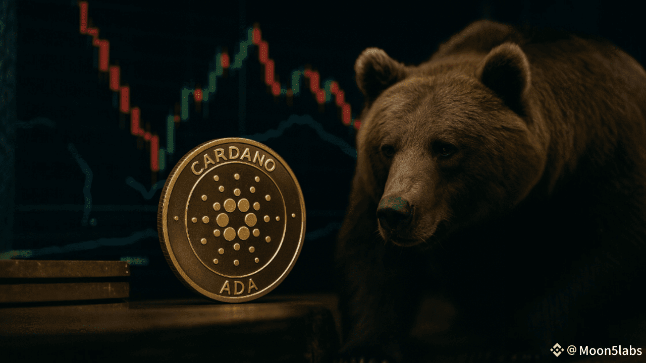Is Cardano Dying? Can ADA Bulls Prevent a Deeper Bearish Trend ...