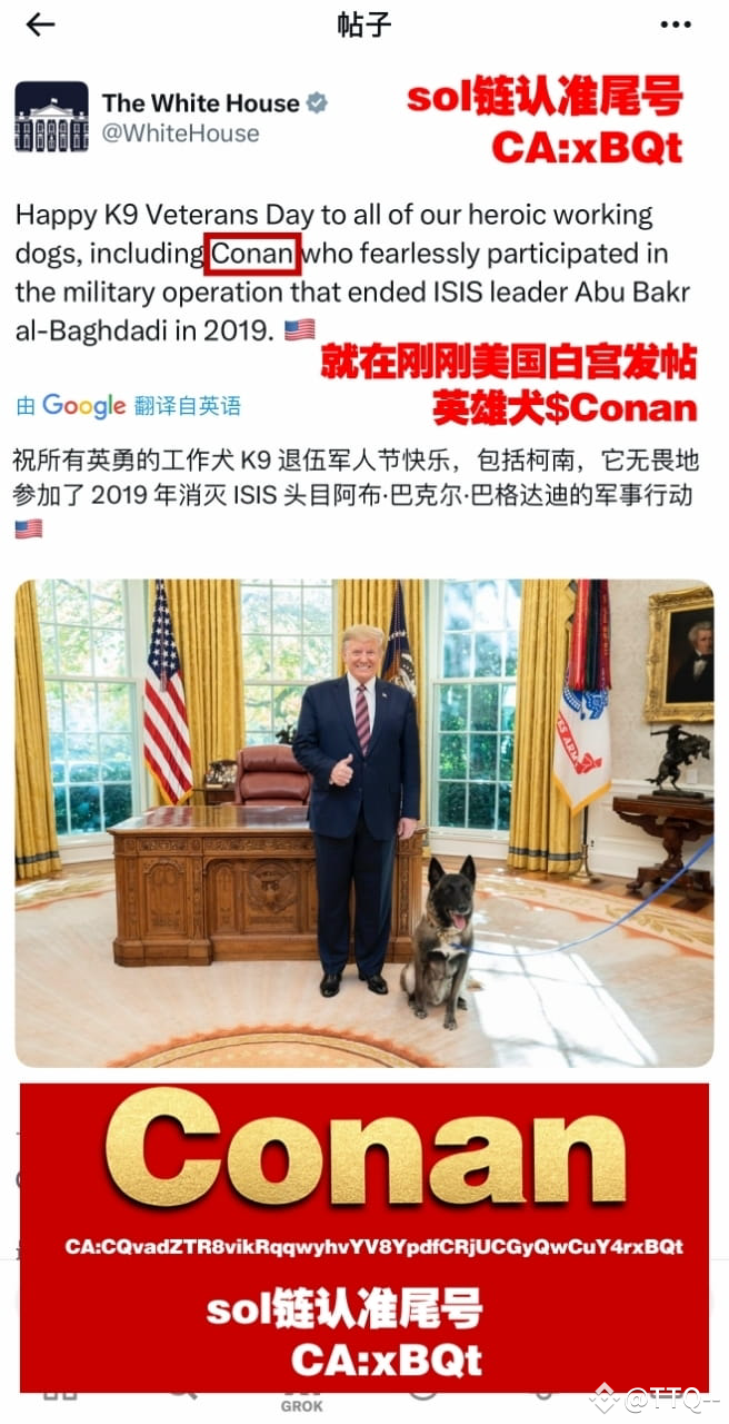 Last time I said I would buy Conan on the Solana chain for s | jk9jk on ...