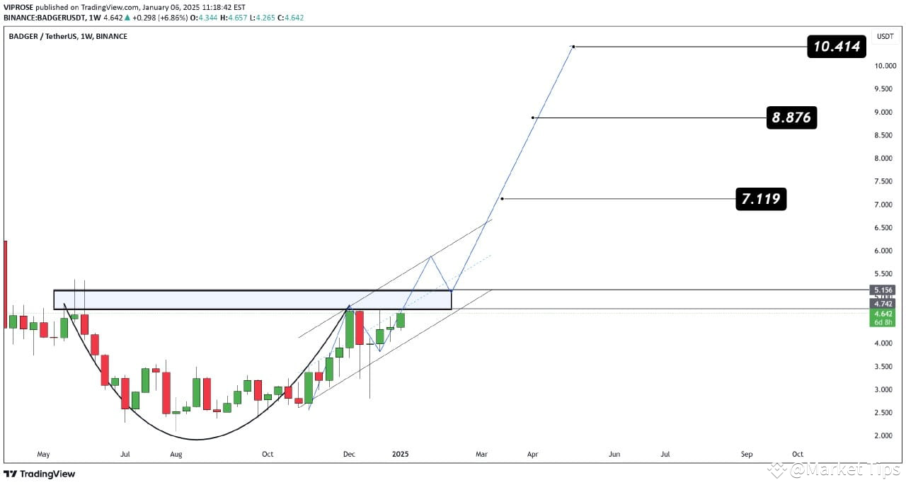 📈LONG: $BADGER /USDT (1W) Analysis: BADGER's chart is sho | Market Tips ...