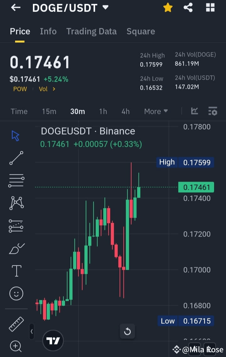 $DOGE /USDT Bull Run Alert ..!💯🚀 Don't Miss Opportunity | Mila Rose on Binance Square