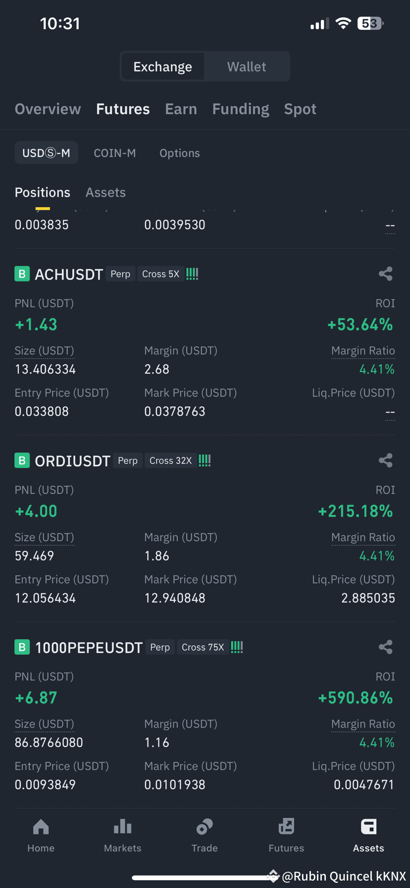 #pepe is flying ️ Holding it for 1 years Follow me . New | Rubin ...