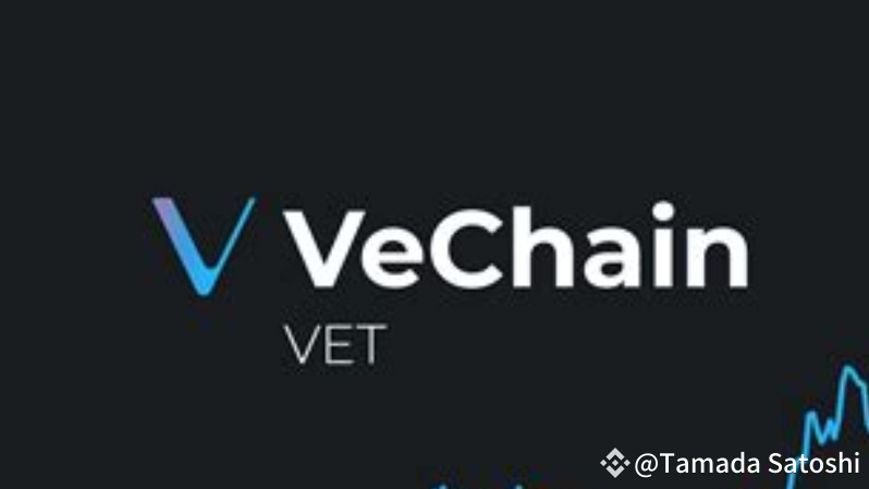 VeChain (VET)’s Spectacular Rise: Analysis and Future Predictions In ...