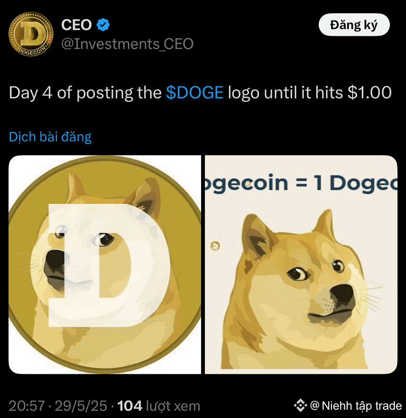 $DOGE The CEO has spoken, hold on, what are you afraid of 🤩 | Niehh tập ...