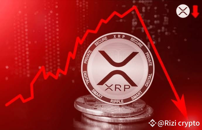 Crypto expert Zach Rector advises investors to seize what he | Rizi ...