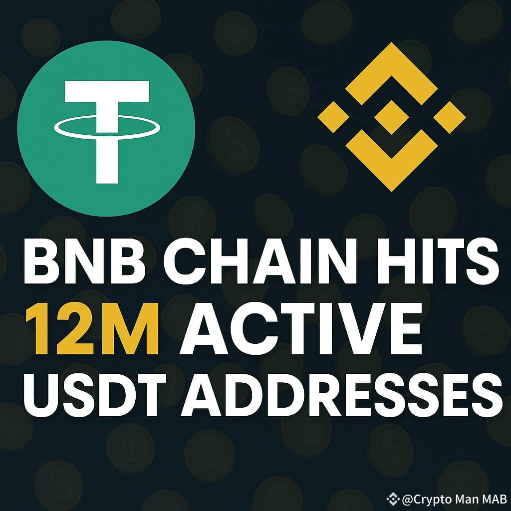 $BNB Chain Surpasses 12M Active USDT Addresses Over the pa | Crypto Man ...