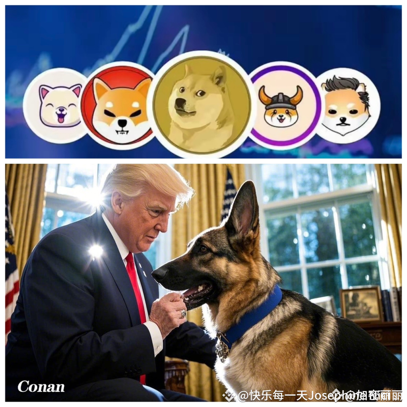$LTC President Trump's Dogecoin Conan is about to destroy 1 | 快乐每一天Dy ...