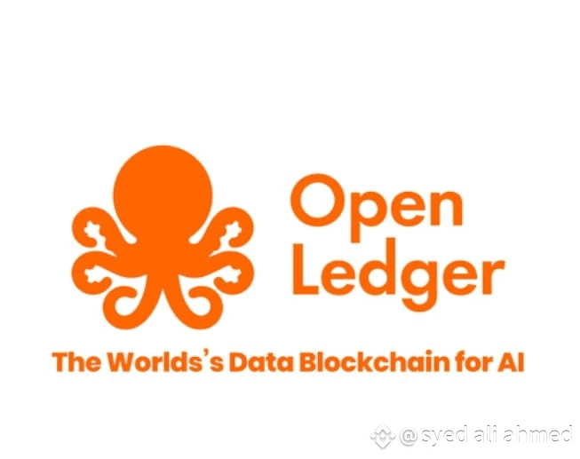 $OPEN Coin Price Forecast 2025 - 2028 🔥🔥🔥 If you short-s | syed ali ...