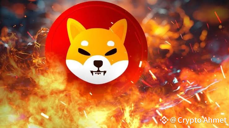😱🚨Shiba Inu Goes On Fire! 537 Million SHIBs Vaporized — Burn Rate Shatters Records with 3,484% 🔥 ...